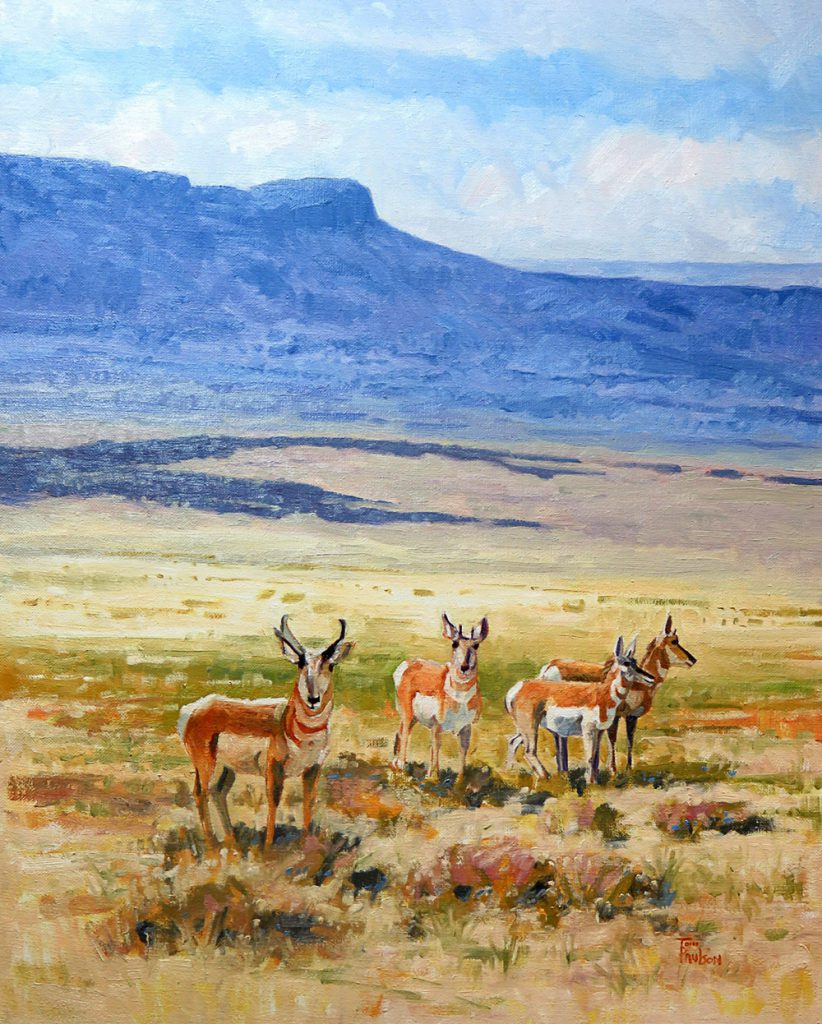 West Texas Pronghorns by Tom Paulson – SOLD | Museum of the Big Bend