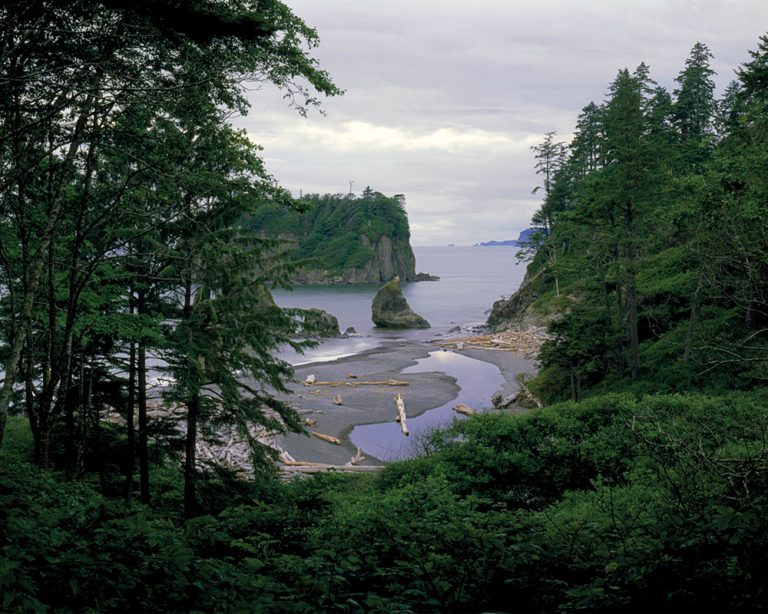 Pacific Ocean, Olympic Coast, Hoh Temperate Rainforest, Washington ...