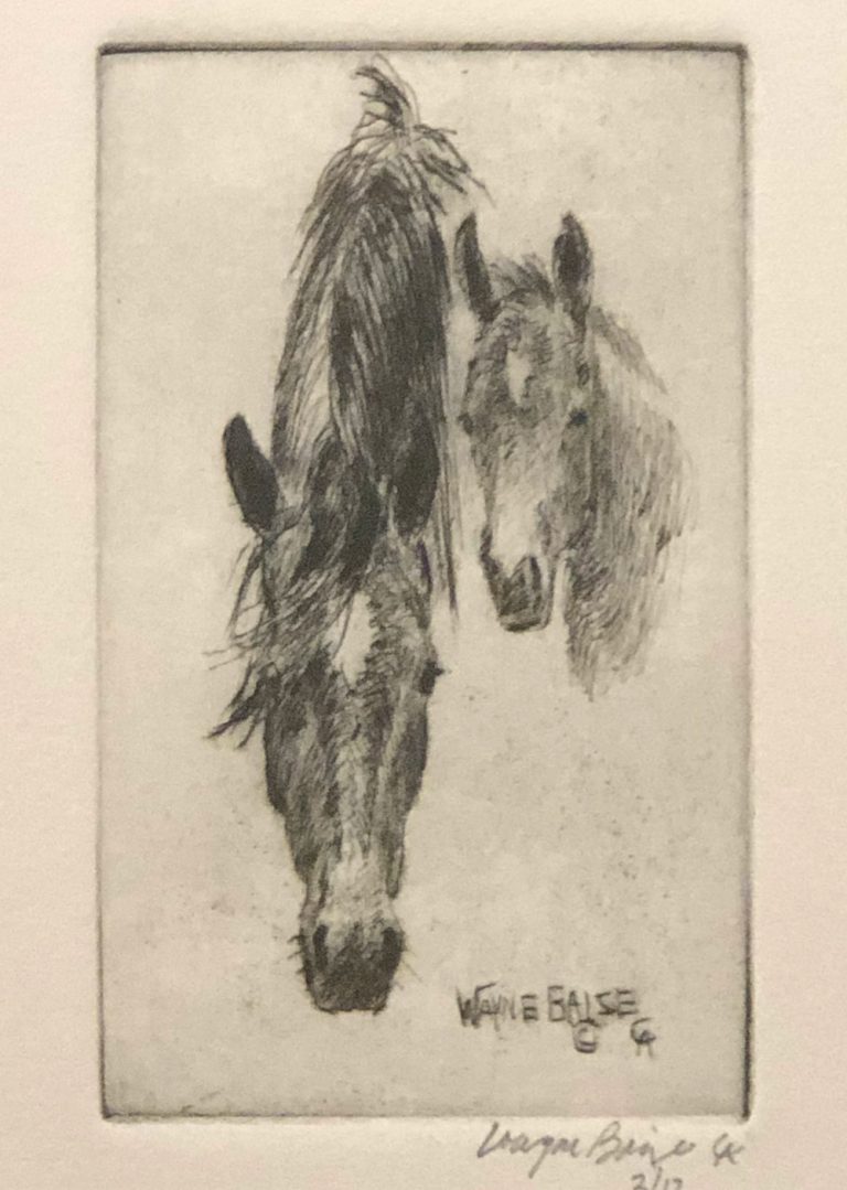 Side by Side by Wayne Baize – SOLD | Museum of the Big Bend