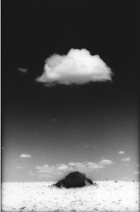 Moment of Realization | Museum of the Big Bend