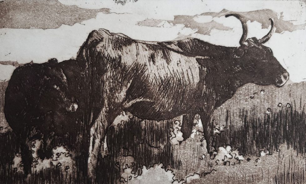 Clothed in Dignity by Chessney Sevier | Museum of the Big Bend