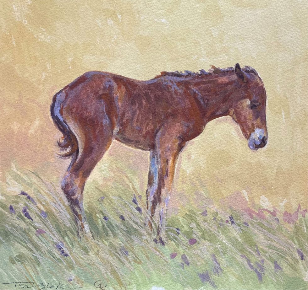 ART 63. The Range Colt by Teal Blake | Museum of the Big Bend