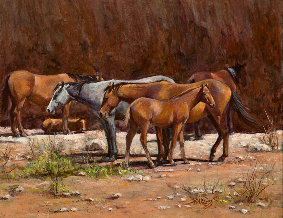 02. The Mare Band by Sarah Harless | Museum of the Big Bend
