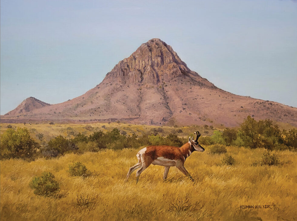 36. Range Rocket by Herman Walker – SOLD | Museum of the Big Bend