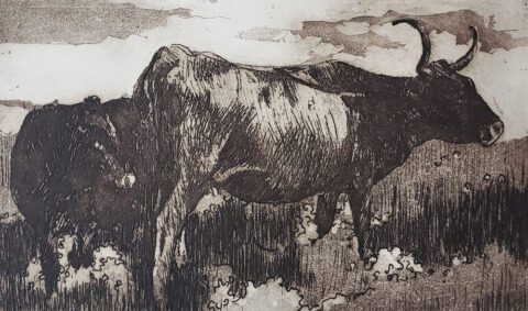 50. Clothed in Dignity by Chessney Sevier | Museum of the Big Bend