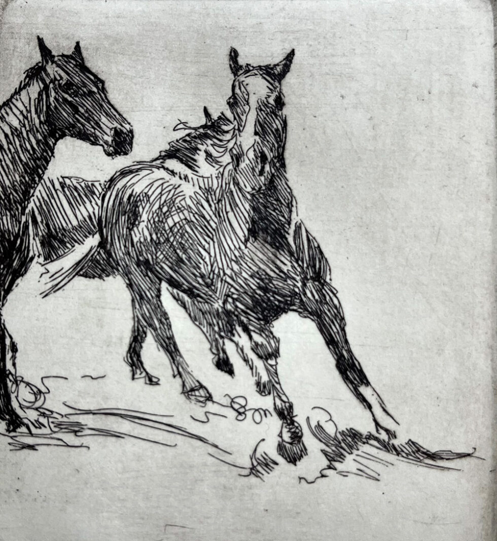 Curve of the Earth by Chessney Sevier | Museum of the Big Bend