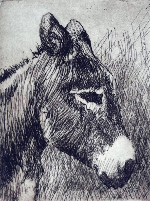 Gracie by Chessney Sevier | Museum of the Big Bend