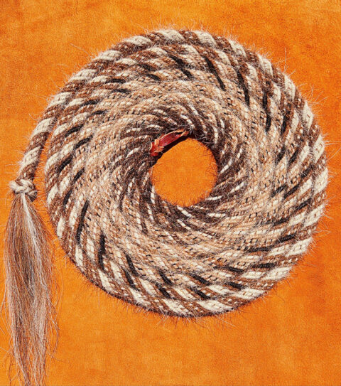 Trick Rope Mecate by Douglas Krause | Museum of the Big Bend