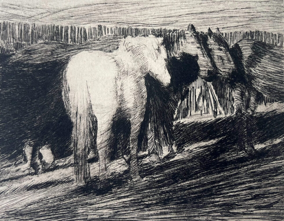 Studsy by Chessney Sevier | Museum of the Big Bend