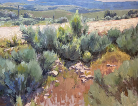 Bighorn Mountain Trail by Chessney Sevier | Museum of the Big Bend