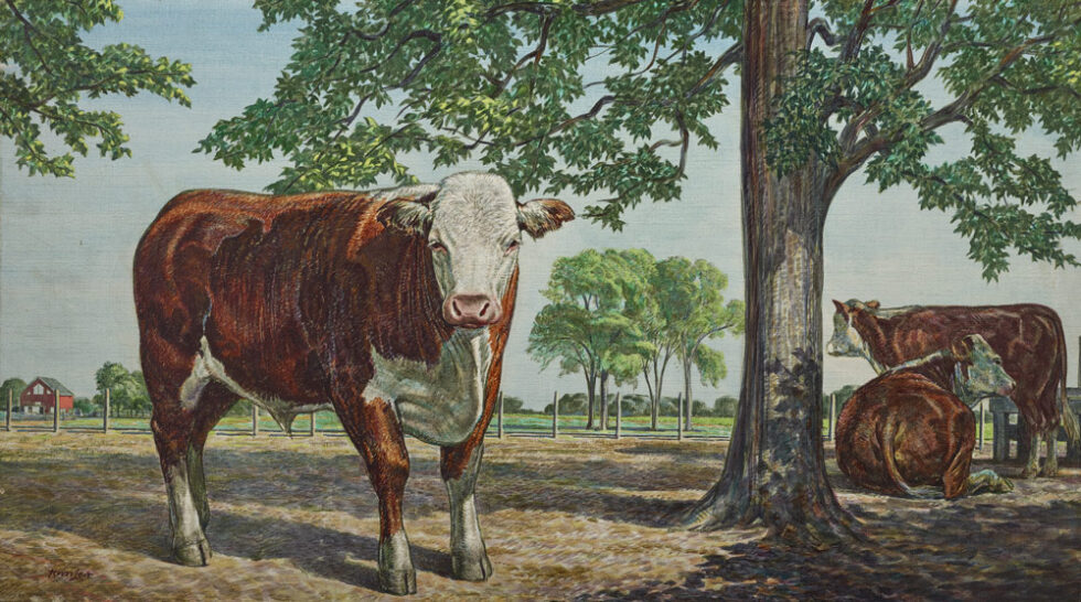 Tom Lea: Western Beef Cattle | Museum of the Big Bend